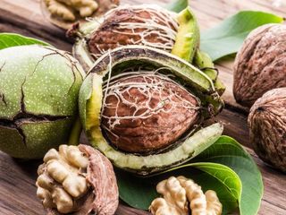 Cumpăr nuci cu coaja verde şi fără.