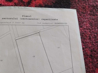 Vindem teren agricol