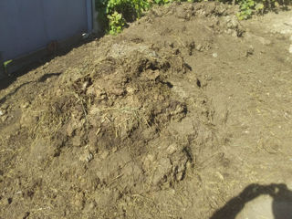 Vand balegar de vaca