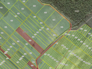 Spre vînzare terenuri agricole com.Ghidighici