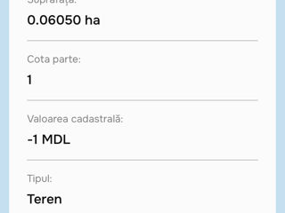 2 terenuri agricole