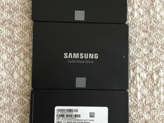 SSD 500 GB și 1 TB — Samsung EVO, Crucial, WD | Rapid și fiabil