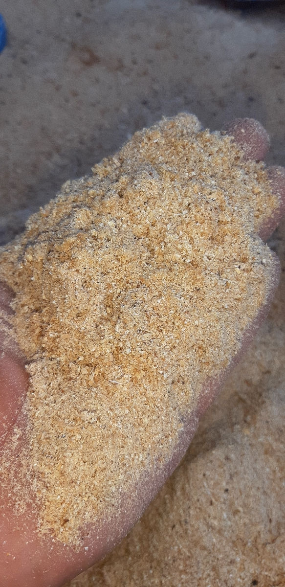 Rumegus din lemn Fr, St