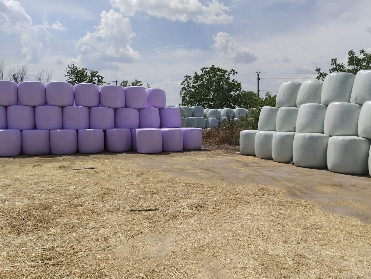 Vand senaj din lucerna