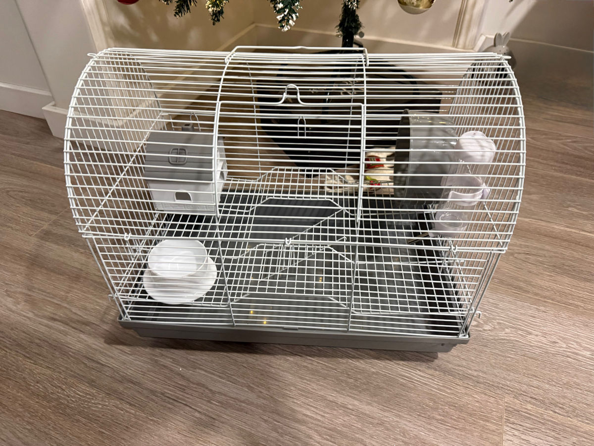 Новая Клетка