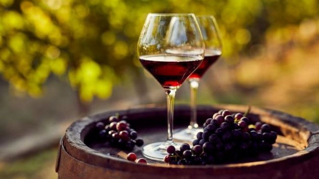 Vind vin de casa din poama Moldova de vin ,am și Lidia