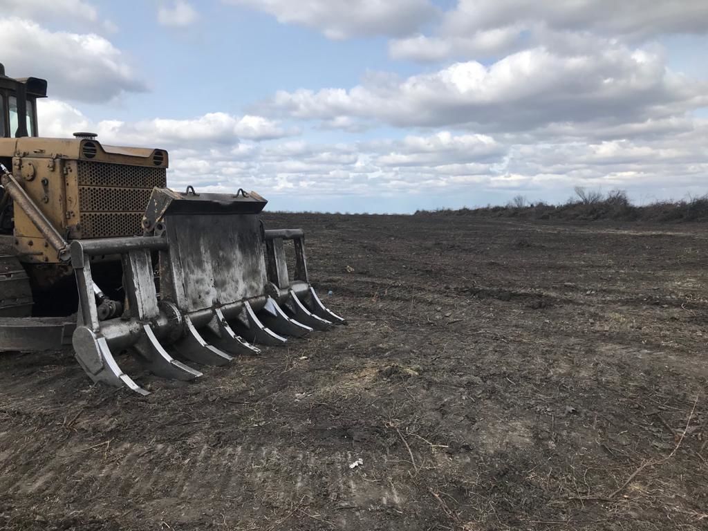 Defrisare / Раскорчевка / Корчёвка