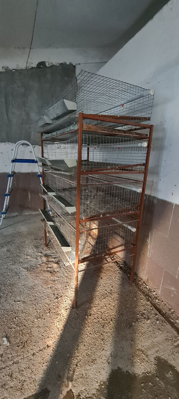 Cușcă pentru Prepelite Клетка для Перепелов