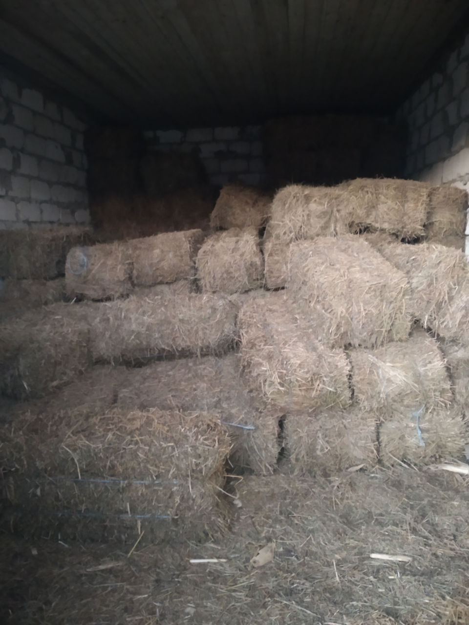 Vând 100 de baloate de lucernă