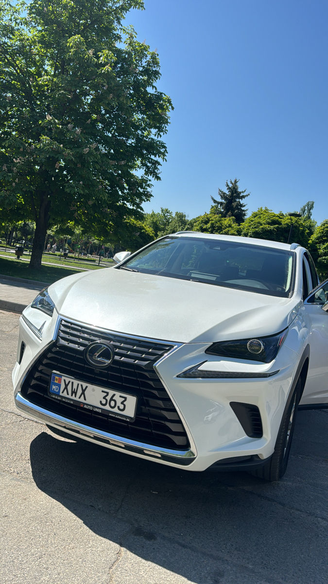 Lexus NX Series