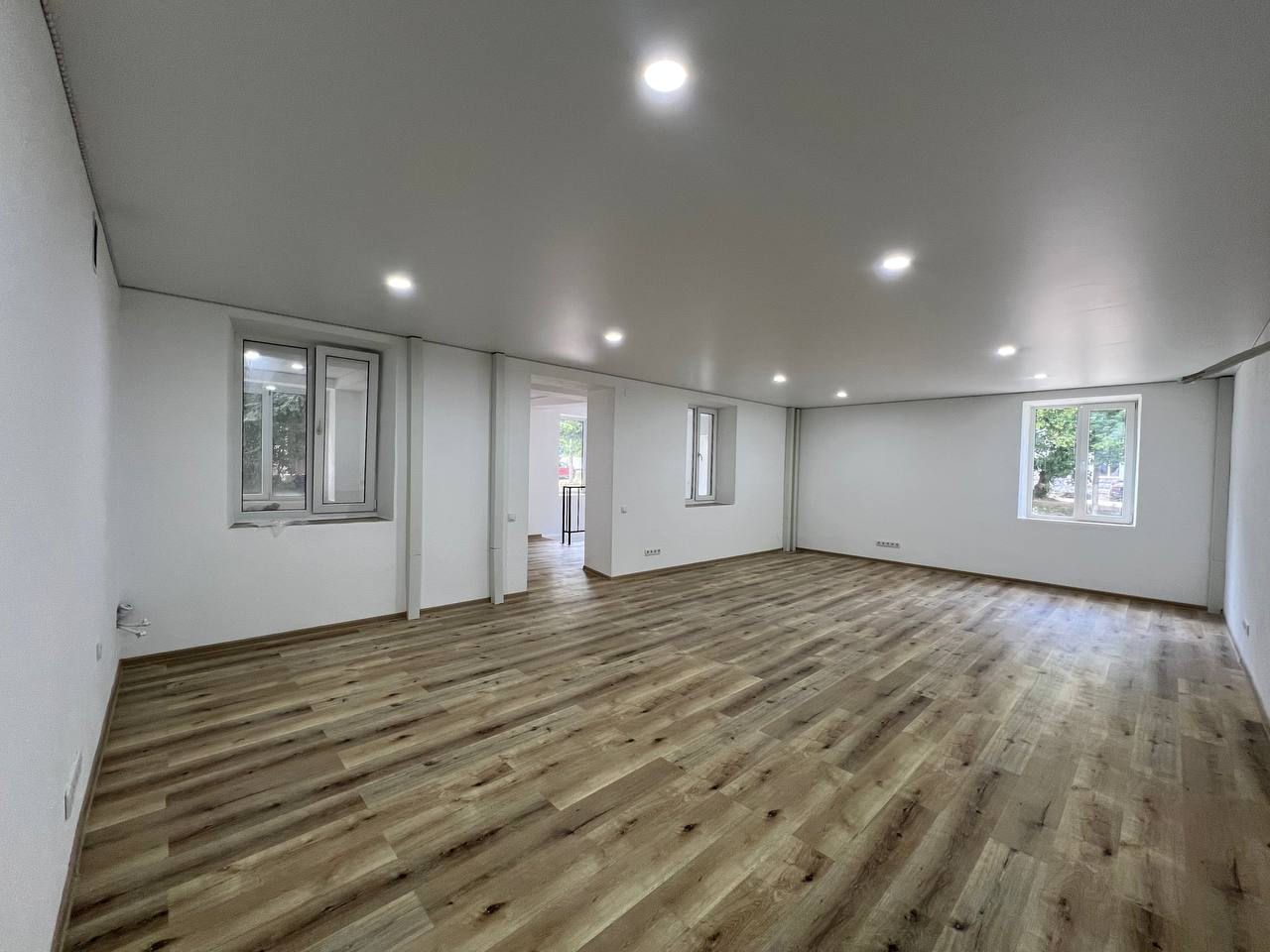 comercial botanica prima linie