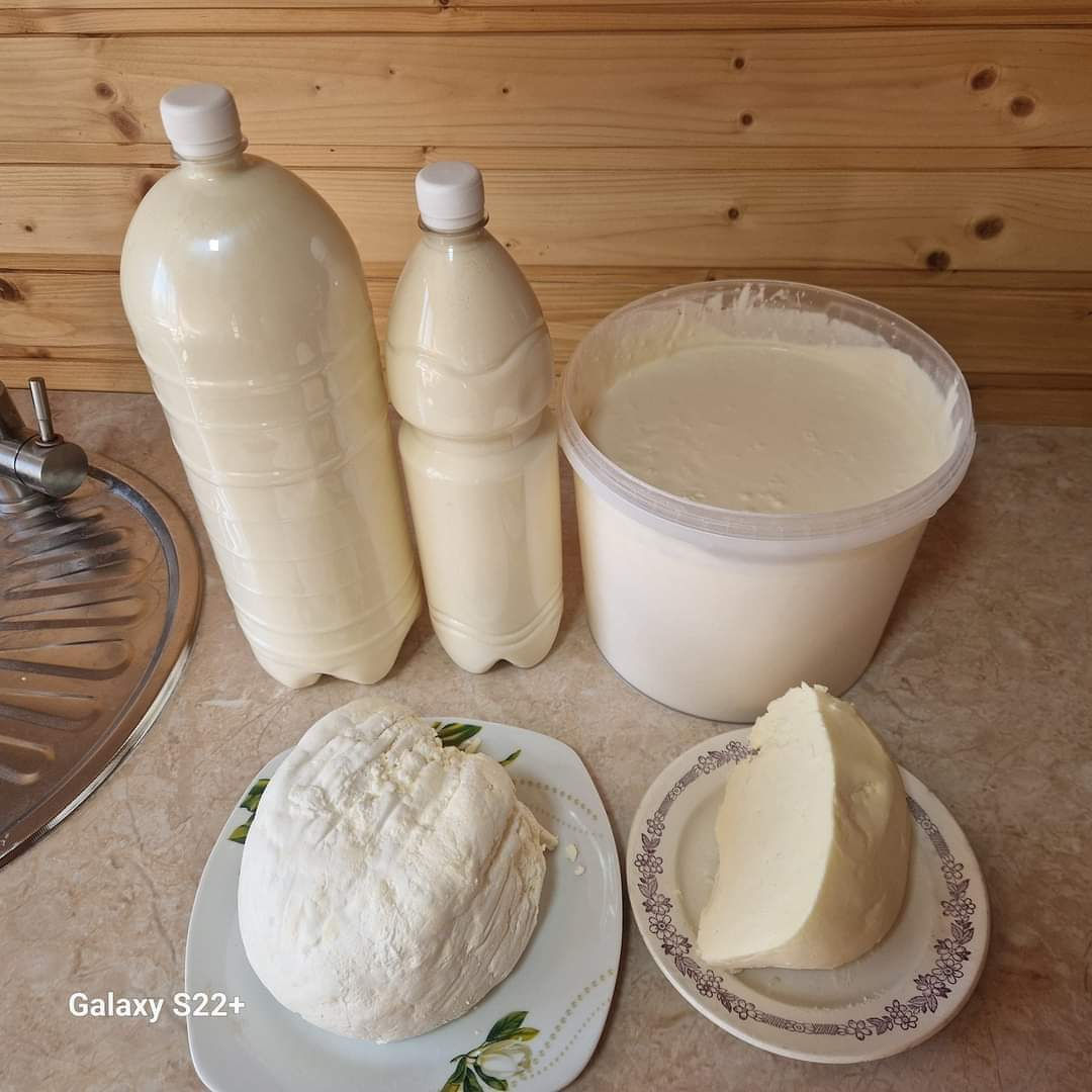 Cumpar zilnic 50 l lapte