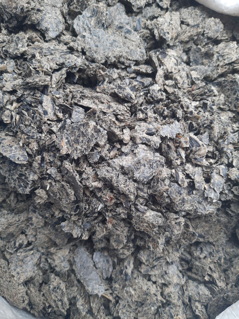 Vind macuc prajit si miezos .ne aflăm la Edineț