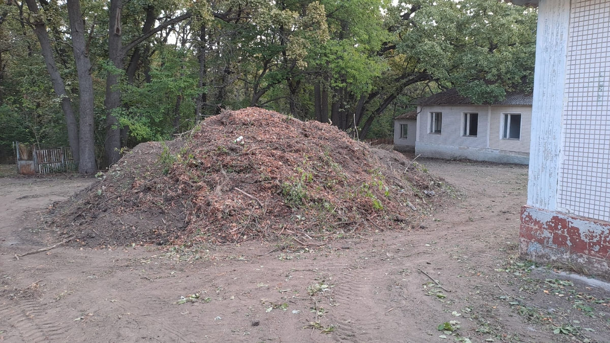 Servicii de defrisare