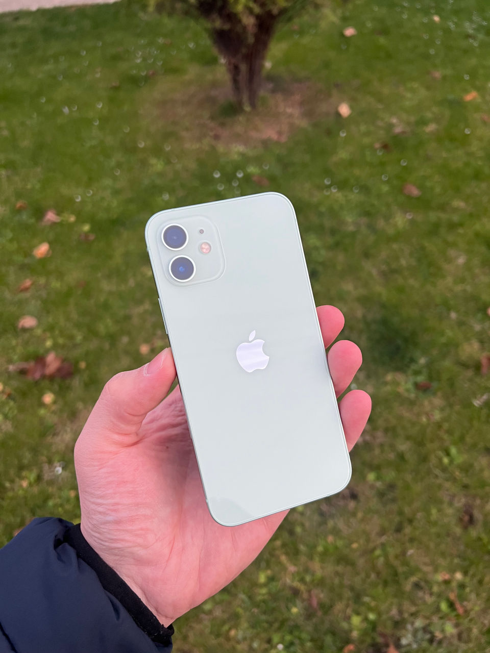 iPhone 12/128GB Green