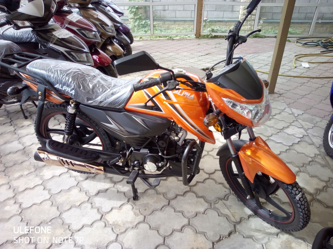 Alpha Moto New model 2021