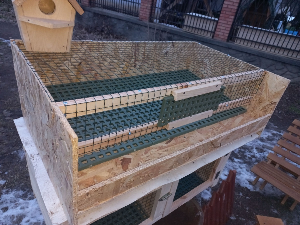 Vind ouatoare gaini custi prepelite