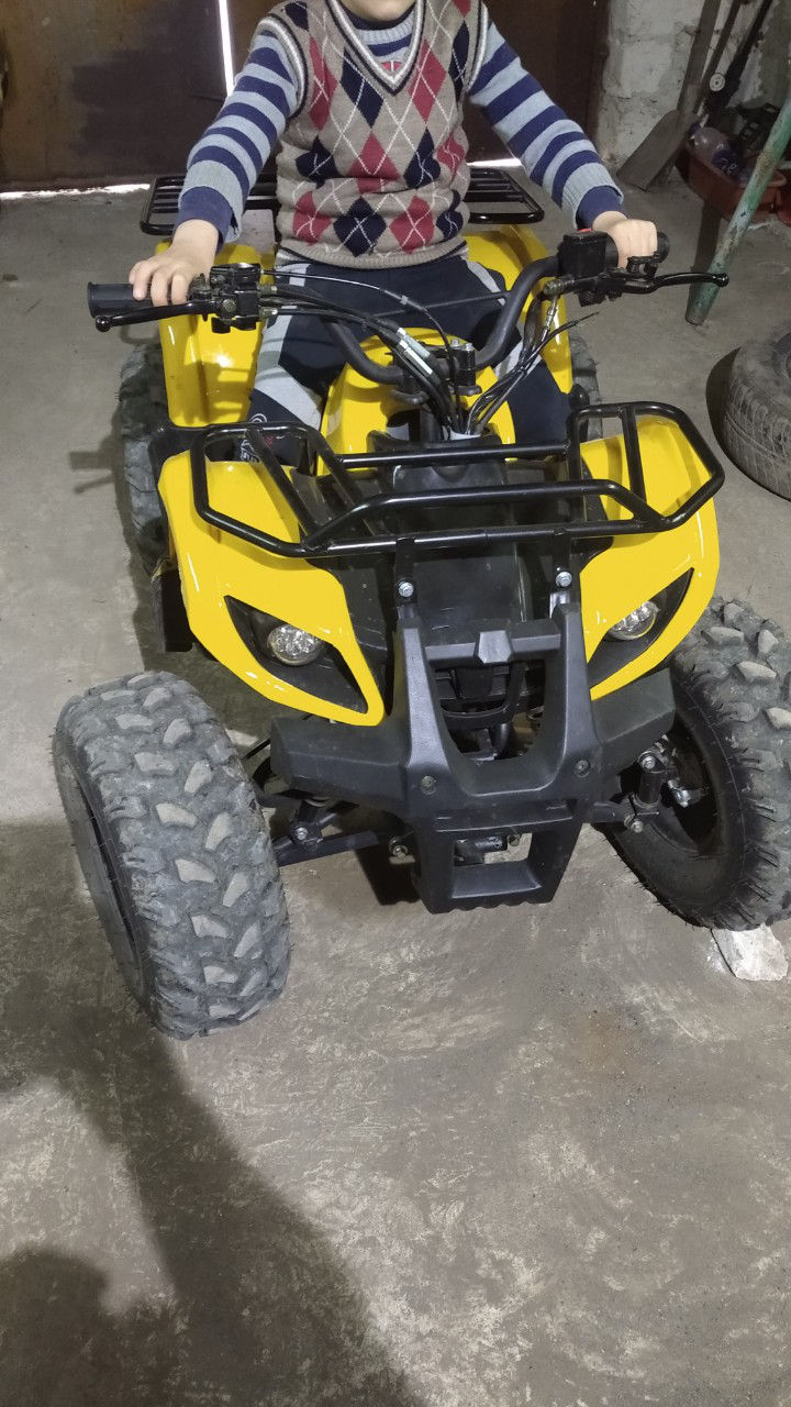 Viper atv