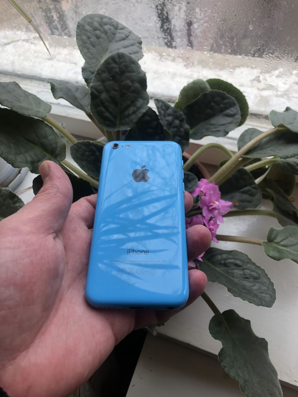 iPhone 5C 16GB Blue