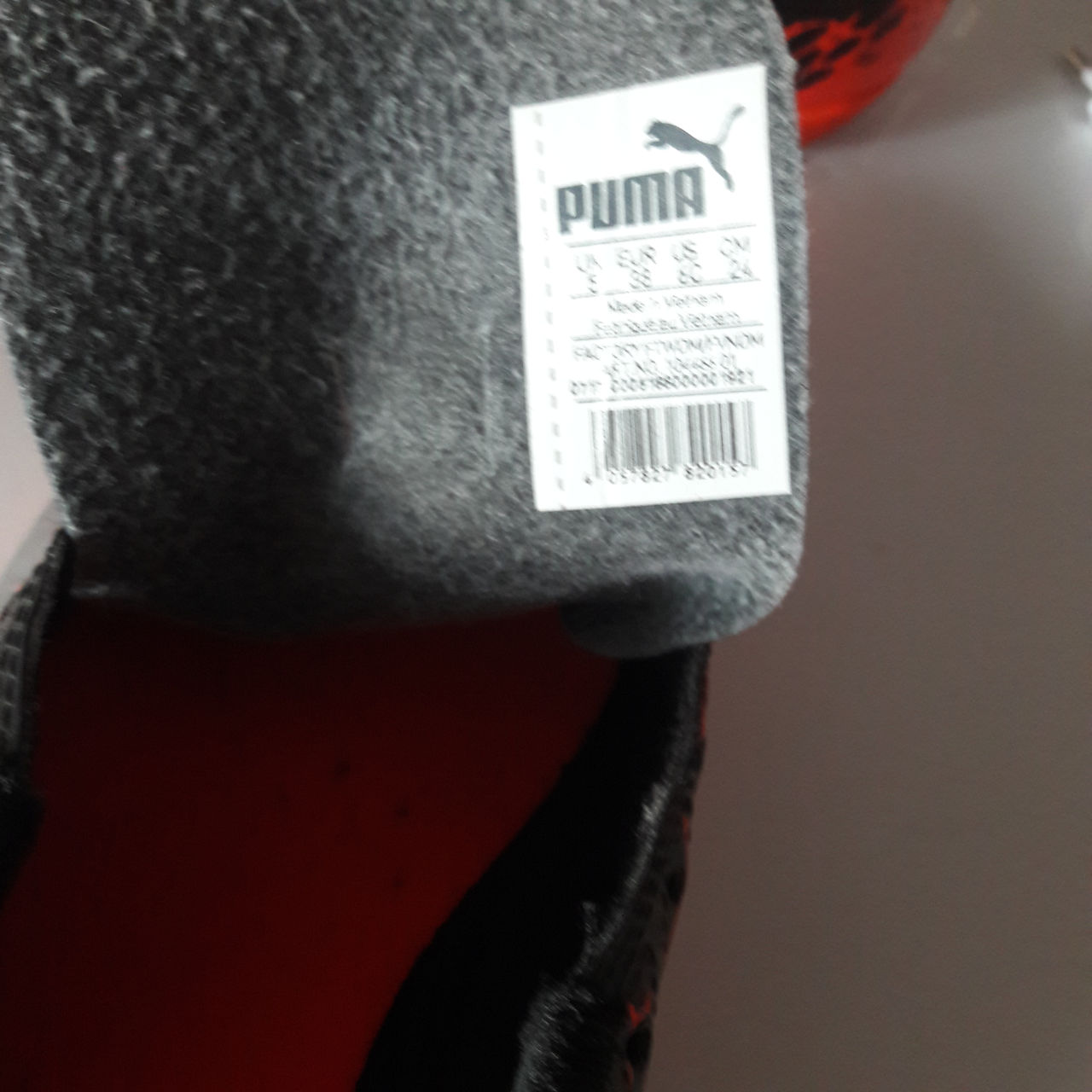 Puma marimia 38