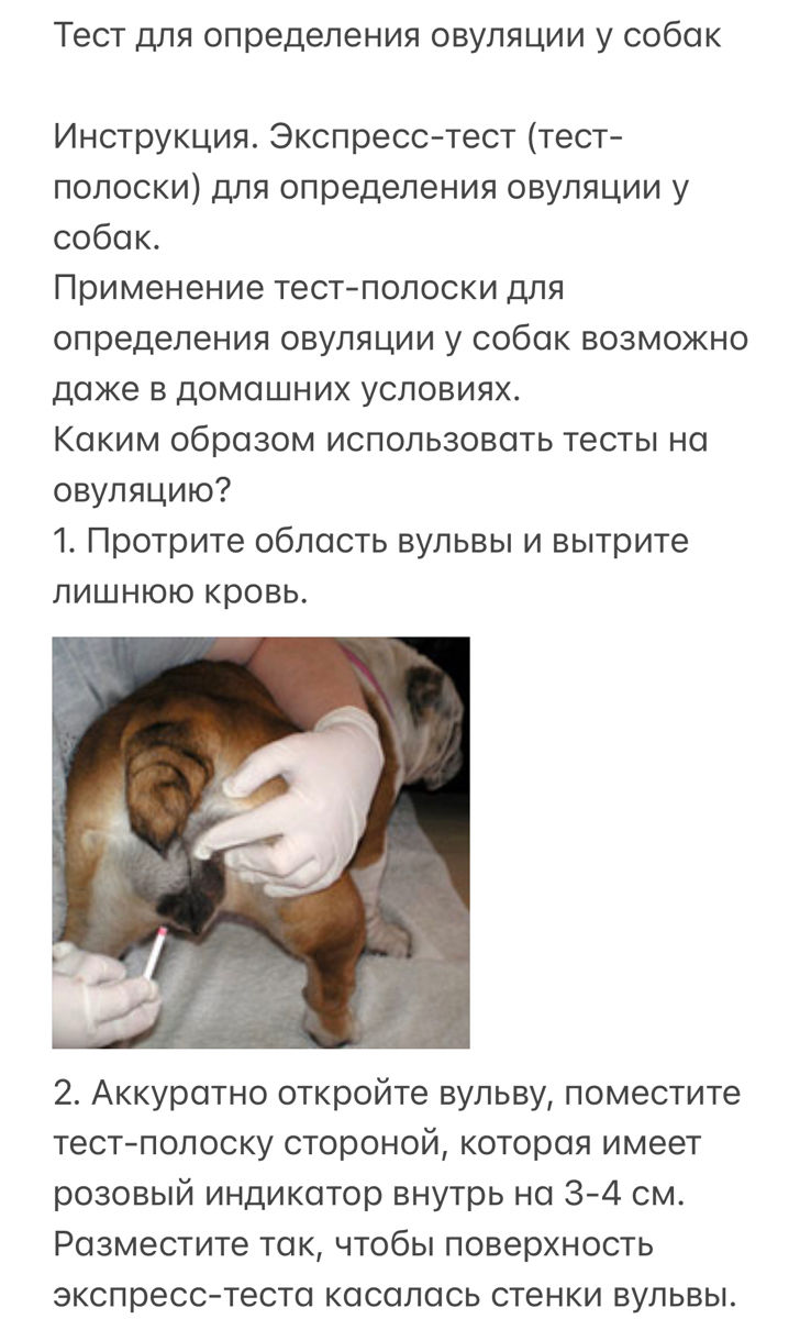 Тест для определения овуляции у собак