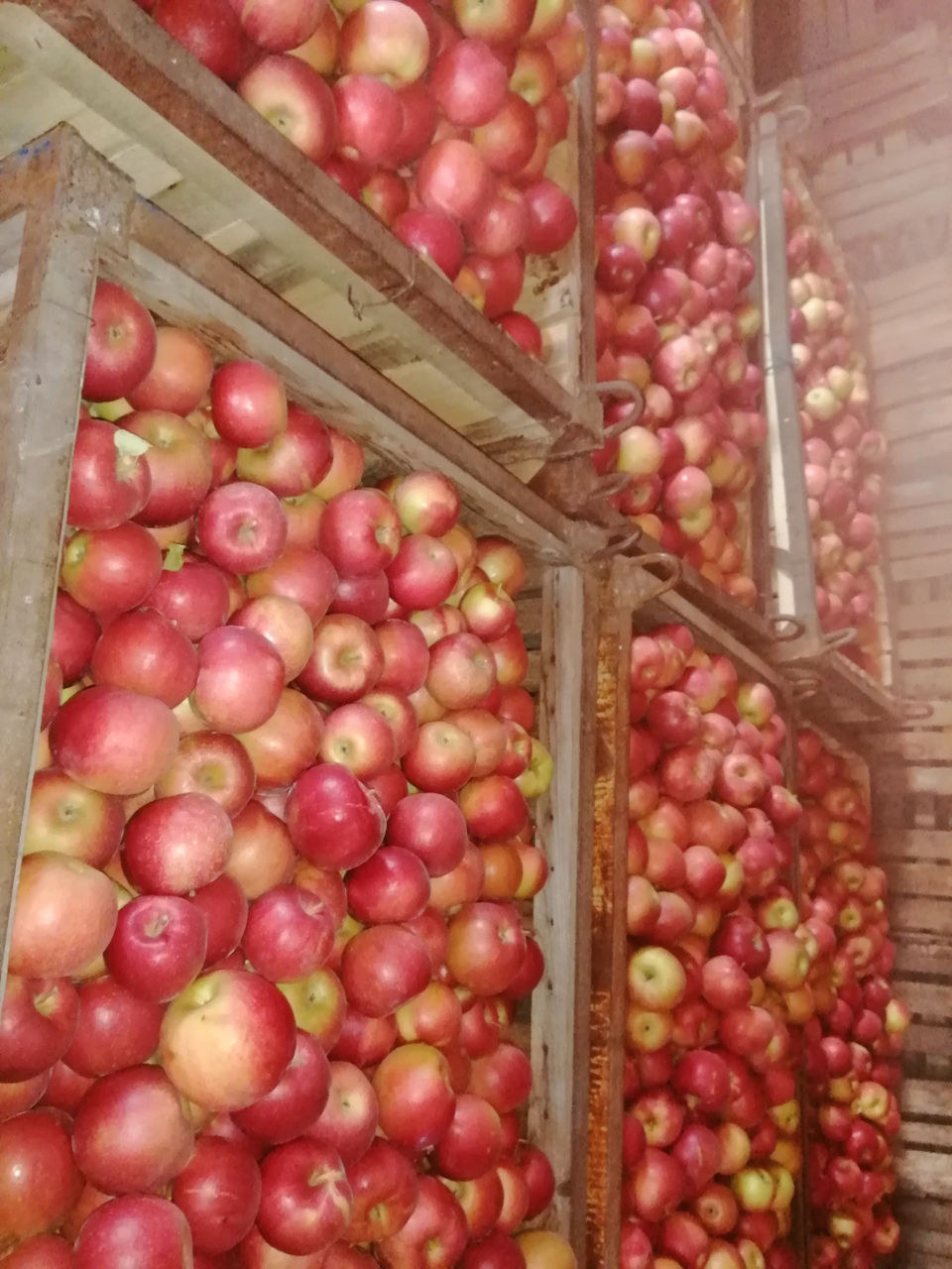 Vind 7tone de mar idared malinovai merele curate si mascate