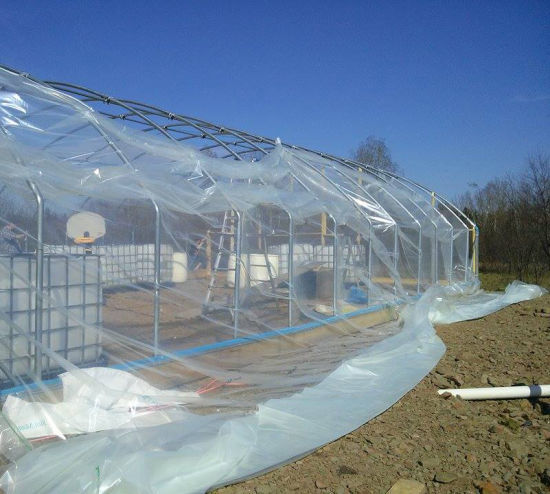 Пленка ПВХ для Вашей теплицы - Pelicula pentru sere. Preturi mici!!!