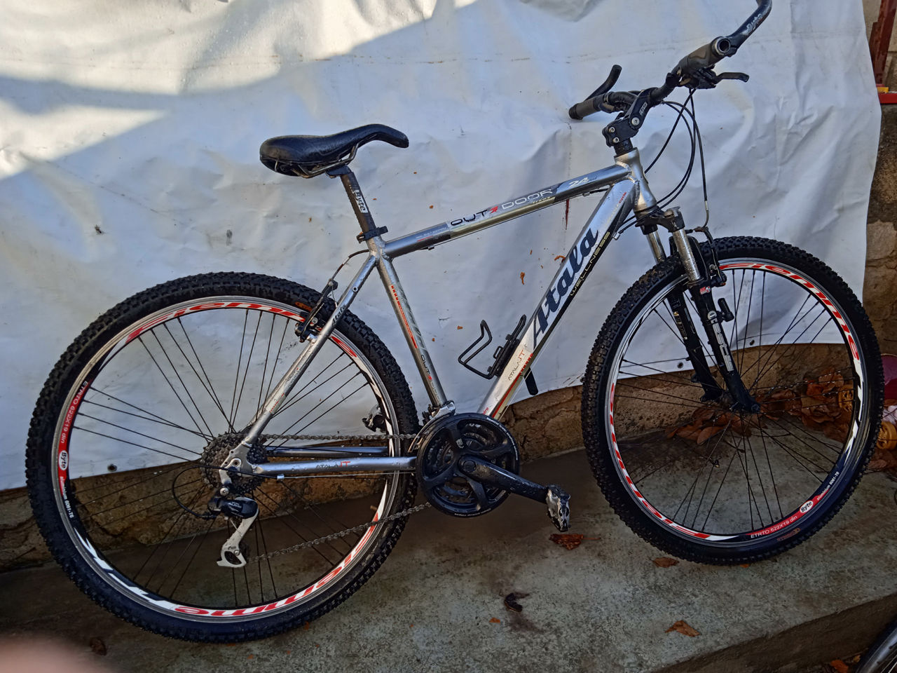 Bicicleta italiană ROȚI 29