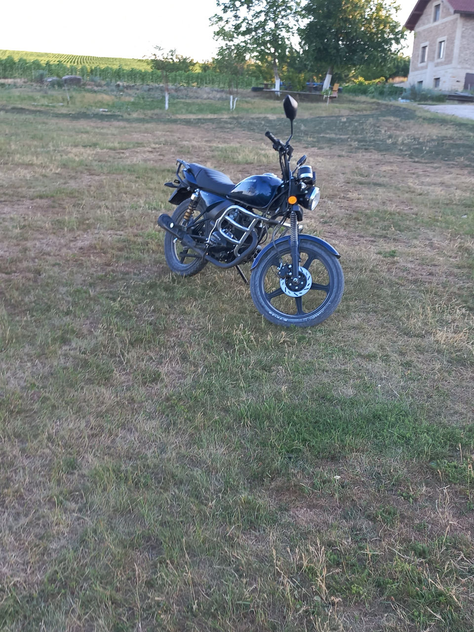 Wolf Motors Senke 150-14