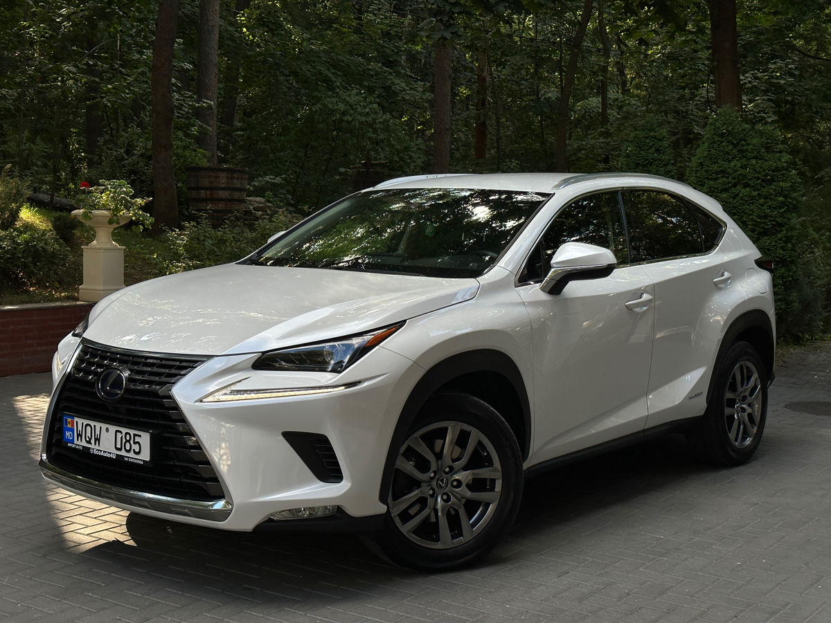 Lexus NX Series