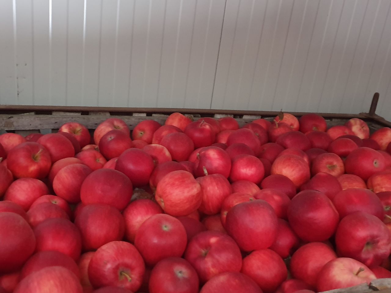 Продается яблоки айдаред/Vindem mere aidared