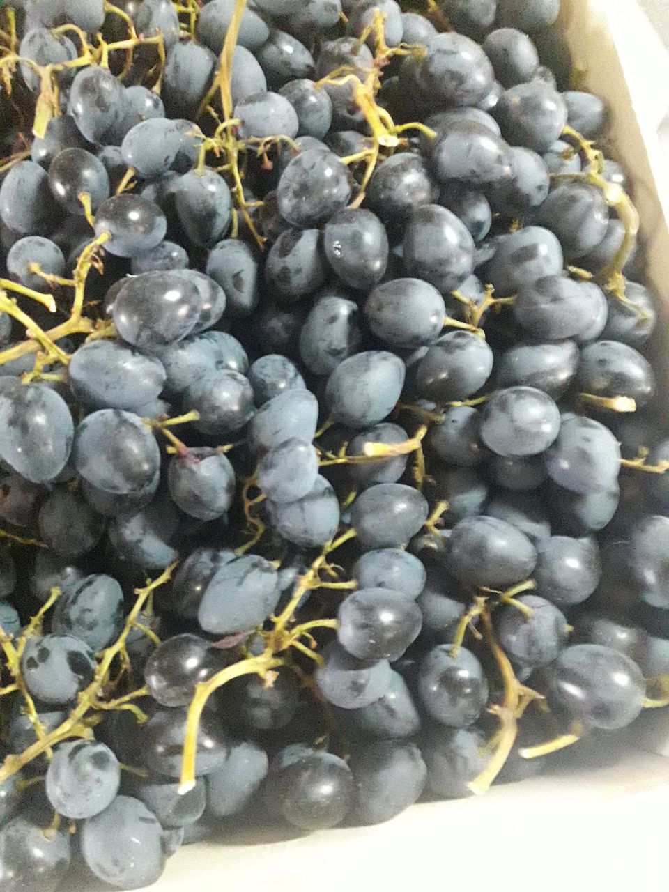 Vînd poama Moldova din frigider