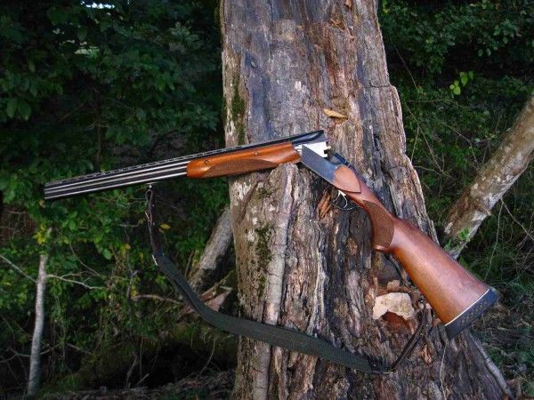 Vind arma, documente, tot legal, Arma lunga cu teava lisa Toz-34P