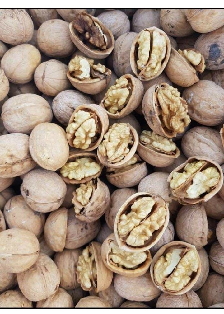 Cumpar Nuci in Nordul Moldovei