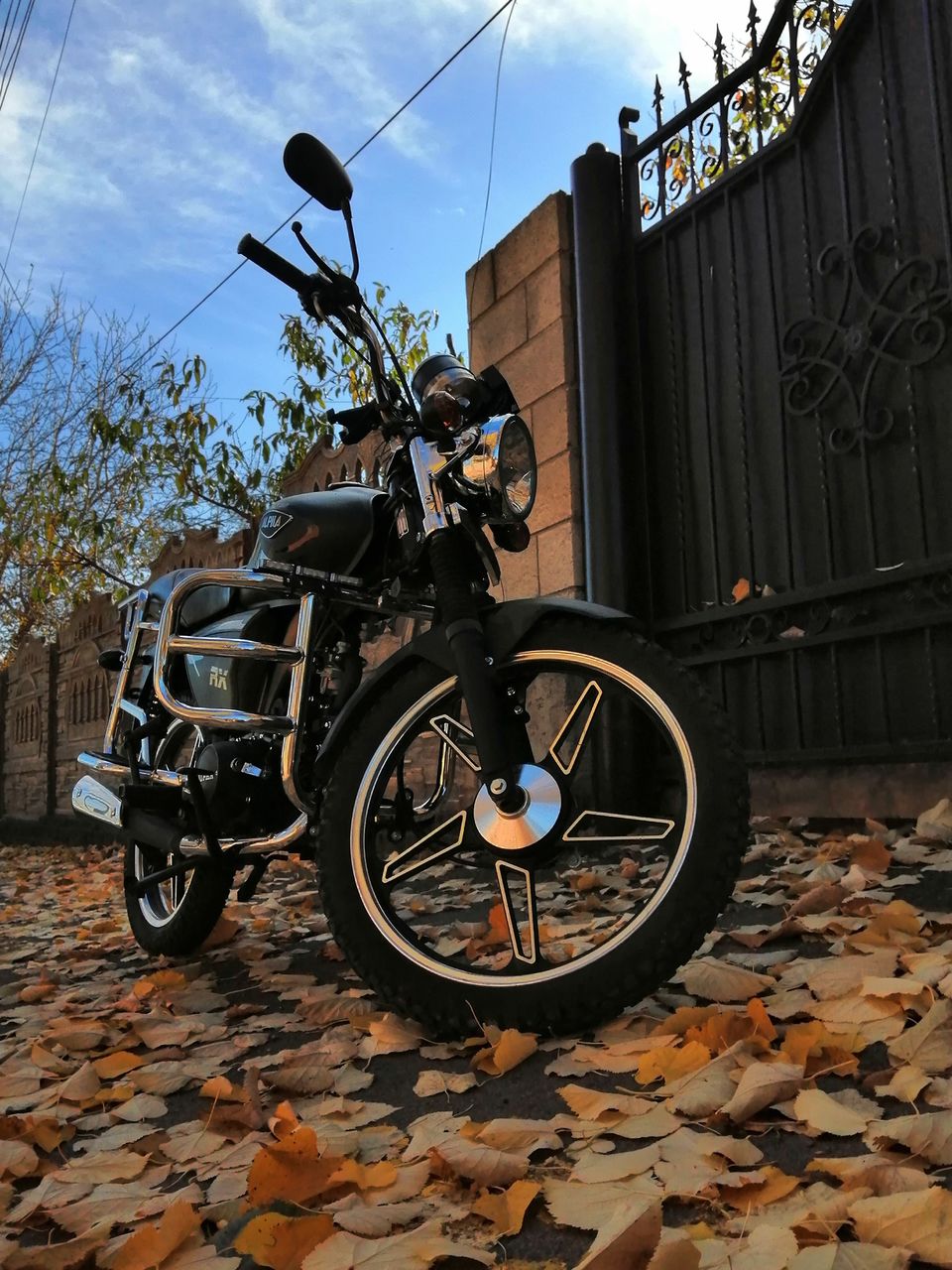 Alpha Moto