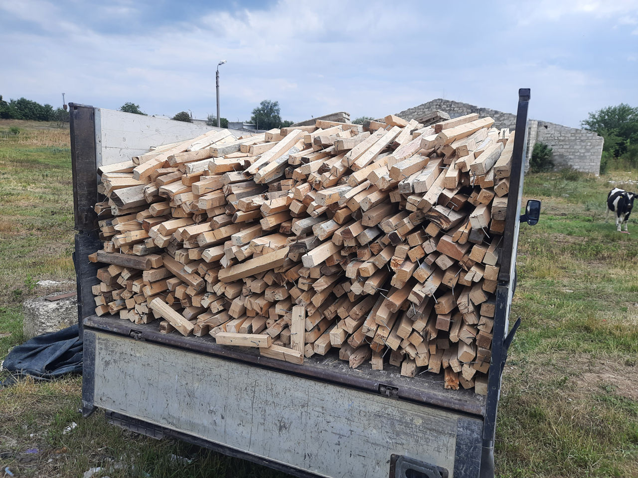 Transport & Hamali. Грузоперевозки