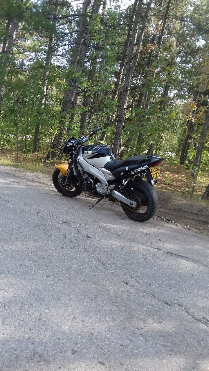 Yamaha Yzf r600 thundercat