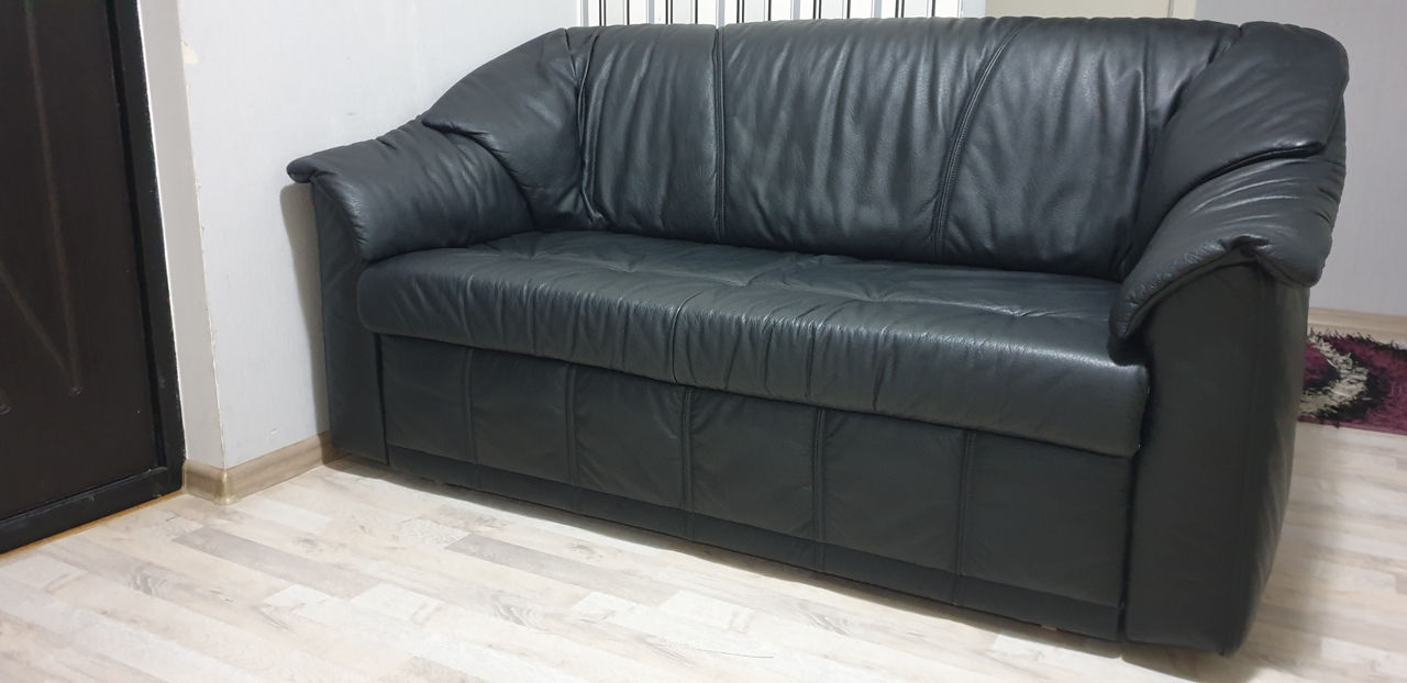 Canapea de piele naturala cu functie de dormit LongLive