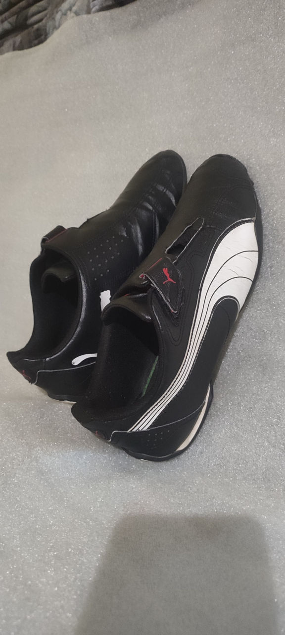 Puma 43 ,44