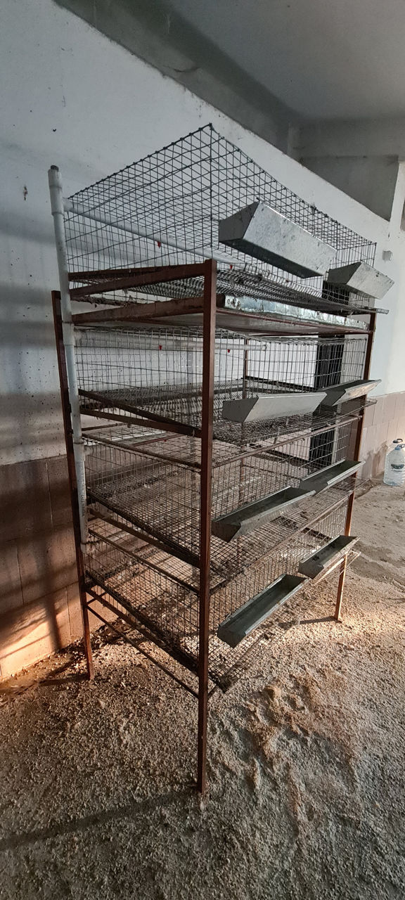 Cușcă pentru Prepelite Клетка для Перепелов