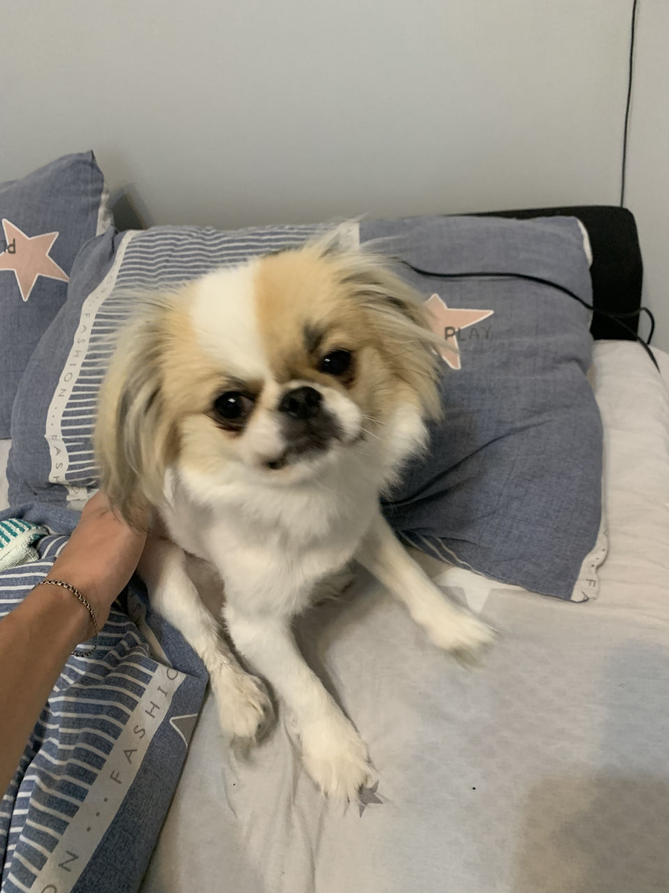 Vand pechinez imperial