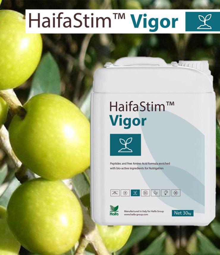 HaifaStim Vigor