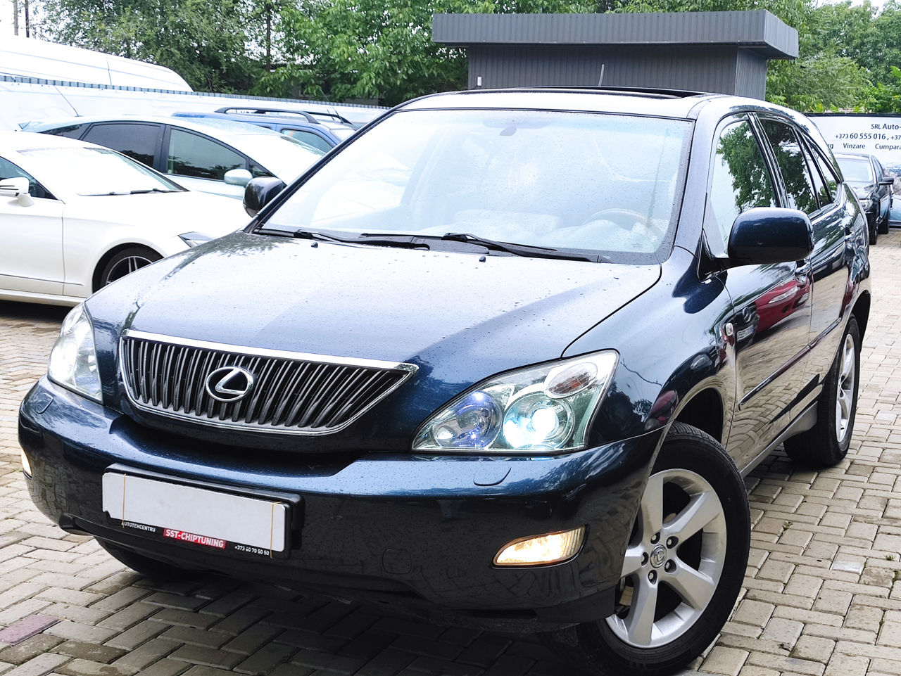 Lexus RX Series