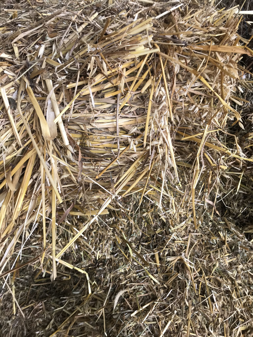 Baloti fin si baloti de porumb si soie