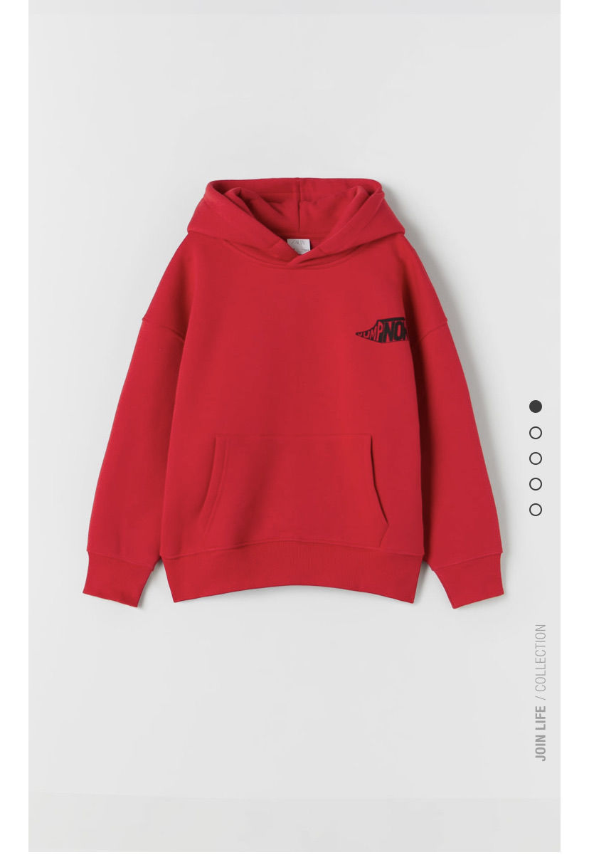 Pulover Sport Zara