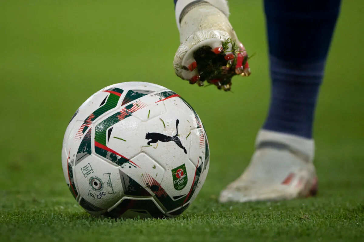 Minge de Fotbal profesionale