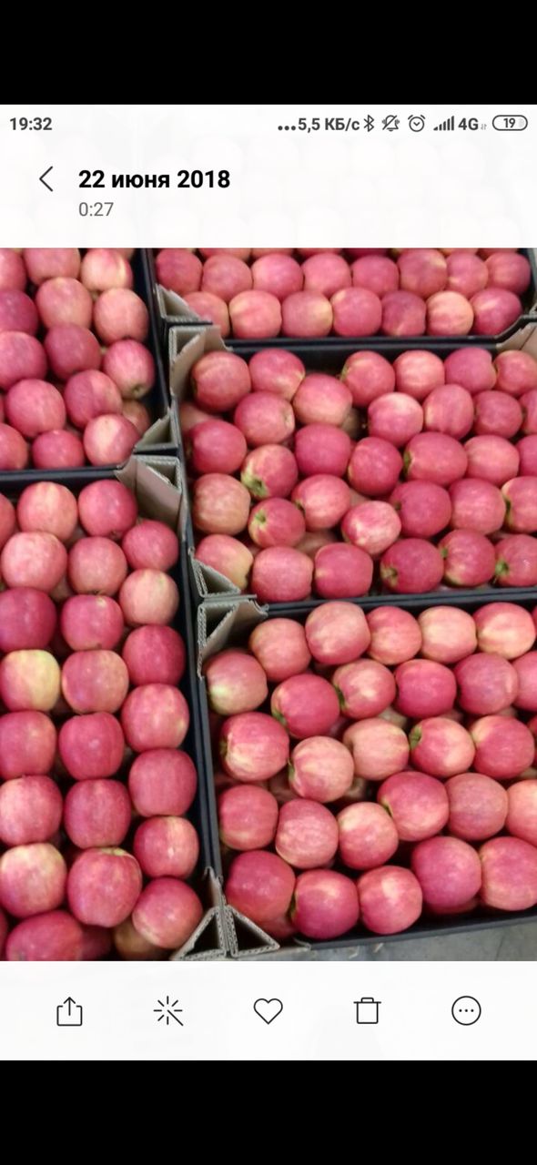 Cumpar pentru export