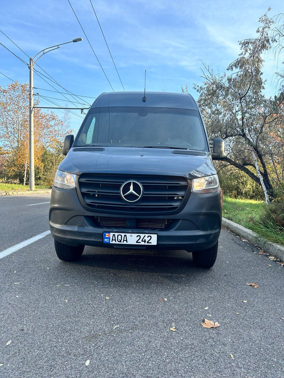 Mercedes Sprinter 319 cu TVA