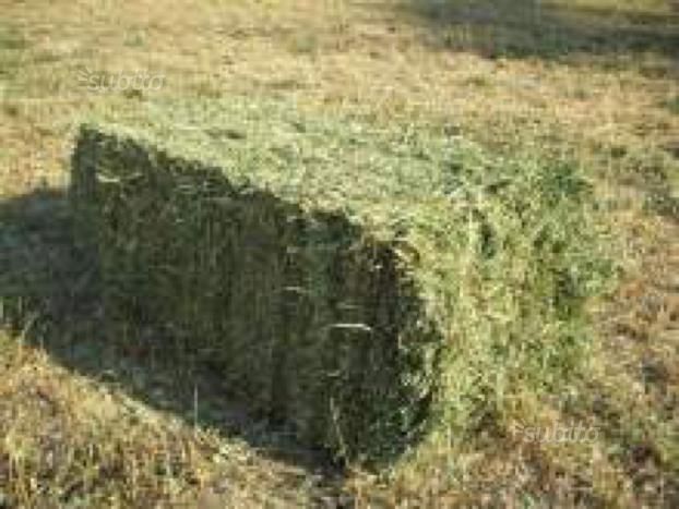 baloti de lucerna roada 2018