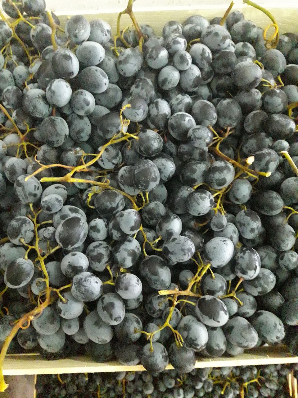 Vînd Poama Moldova din frigider